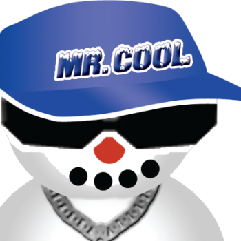 Mr. Cool Air Conditioning: Cape Coral Air Conditioning Company